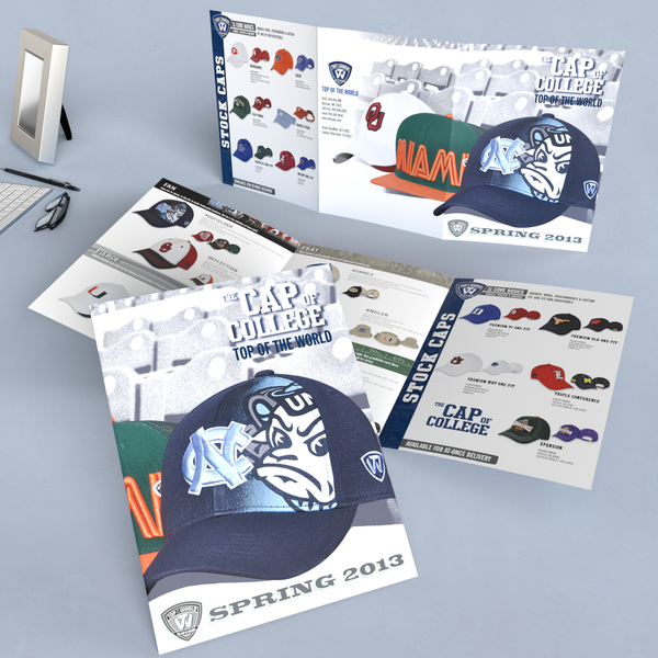 Custom Graphic Designer Brochure Design | CdesignsPrint
